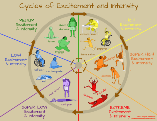 Cycles of Excitement and Intensity - Learning in Action™