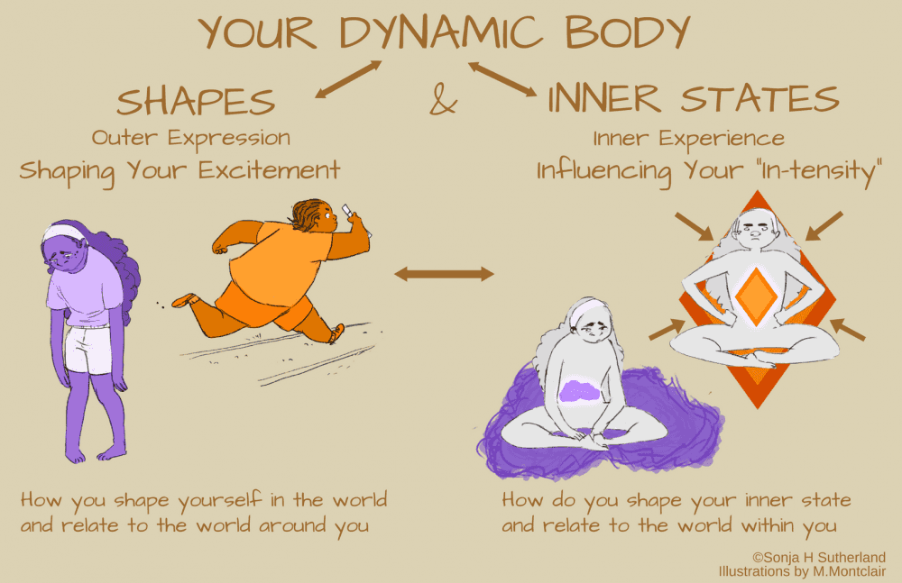 The Shapes We Make - Inside and Out - Learning in Action™